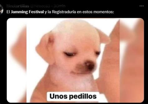 Jamming Festival The Memes That Abound On Social Networks After The