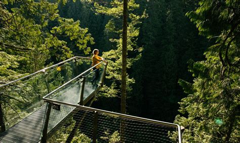 Cliffwalk Capilano Suspension Bridge Park