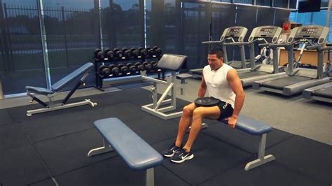 Awesome Photos Of Weighted Bench Dip Ideas Artha Design