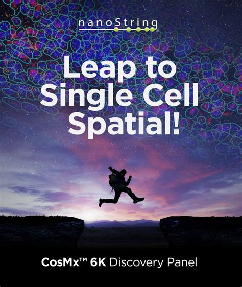 Nanostring Technologies Inc On Linkedin Cosmx6kdiscoverypanel Singlecellspatial