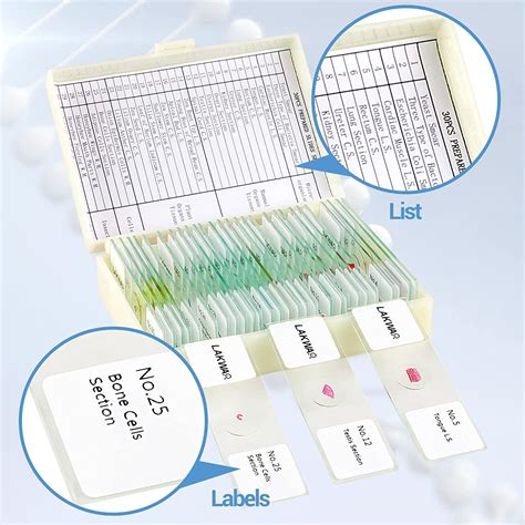 30pcs Microscope Slides Prepared Microscope Slides With Specimens For
