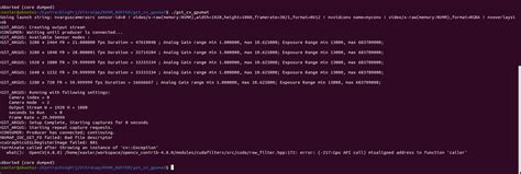 error generated while running the code after connecting the camera jetson xavier nx nvidia