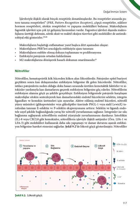 Sağlık Bilimlerinde Mikrobiyoloji Temel Bilgiler Ema Tıp Kitabevi Ema Tıp Kitabevi