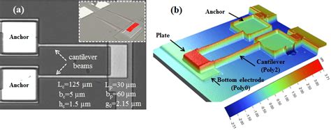 Pictures Of The Actuator Under A The Microscope And B White Light
