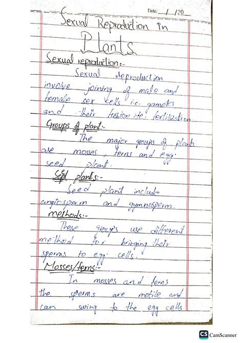 SOLUTION Sexual Reproduction In Plants Class Biology Studypool