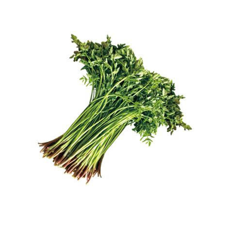 차별화상회 국내산 돌미나리 1kg PK