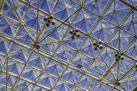 Ordered Complexity Photograph By Lynn Palmer Fine Art America