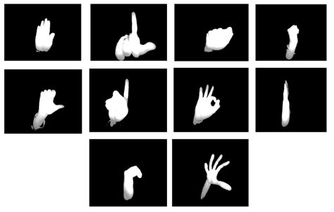 Sample Images From Hand Gesture Recognition Database Download Scientific Diagram