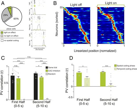 Crucial Role For Ca2 Inputs In The Sequential Organization Of Ca1 Time