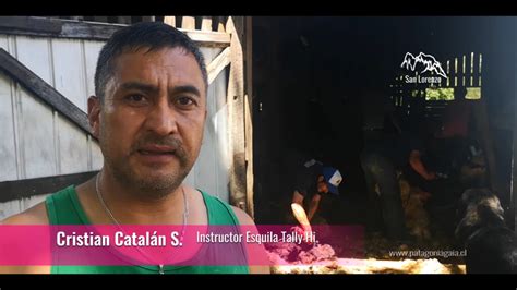 Reseña Capacitación Esquila Tally Hi Pucón Patagonia Gaia