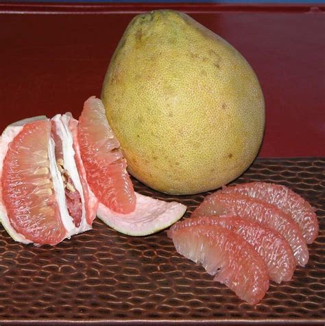 Peeling Pomelo Suha Fruit Chefs Pencil