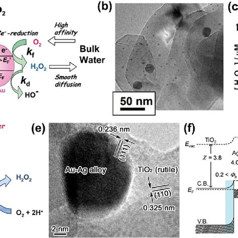 A Mechanism Of The H O Formation Over The Au TiO Photocatalyst Download Scientific
