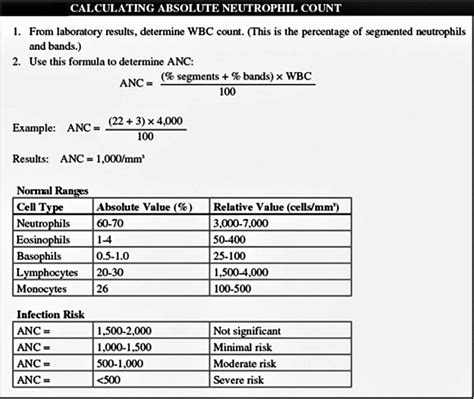 Neutrophils Neutrophils Function Causes Of Low Or High Absolute
