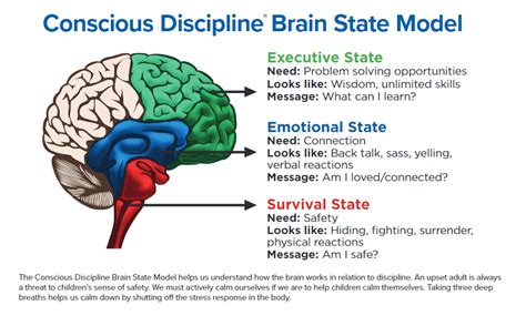 Conscious Discipline The Three Brain States Carmel Mountain Preschool