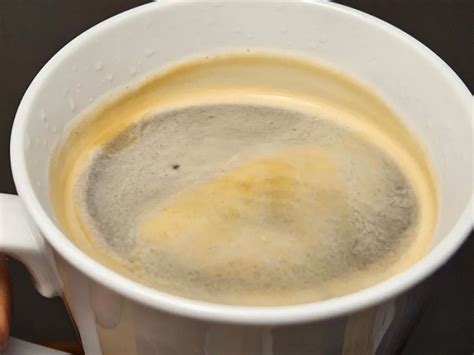 홈카페 원두추천 커피세상 과테말라안티구아 네이버 블로그