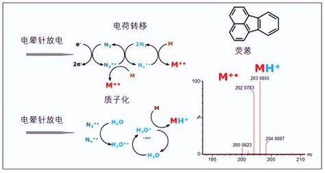 方案分享 如何高效提升gc Ms Ms定量灵敏度和选择性 知乎
