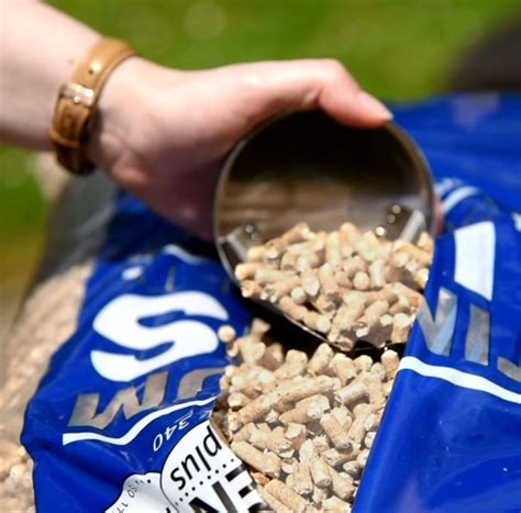 Platinum Plus Pellets Pallets Wandl Management Nl Bv Limited