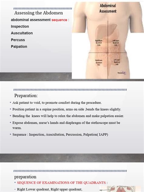 Assessing The Abdomen 1 Download Free Pdf Abdomen Anatomy
