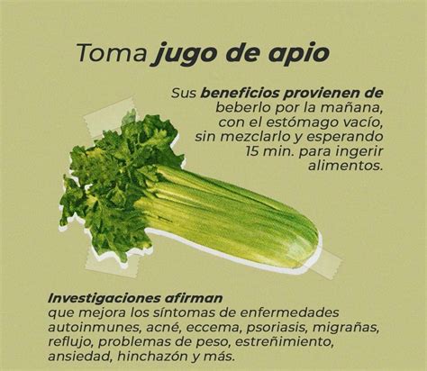 Toma Un Nutritivo Jugo De Apio 👌 El Remedio Mas Eficaz