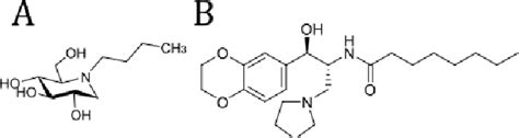 Figure 1 1 From Glucosylceramide Metabolism From 3d Structure To The Development Of Selective