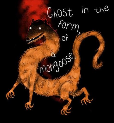 Ghost In The Form Of A Mongoose Runnervingimages