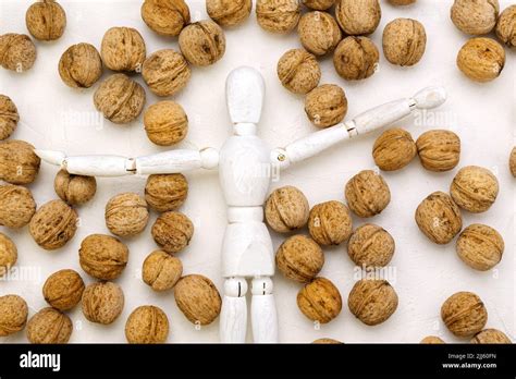 Walnut Human Brain At Jenny Mcnear Blog
