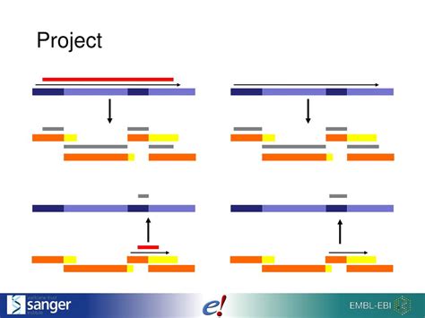 ppt ensembl developers workshop core api powerpoint presentation