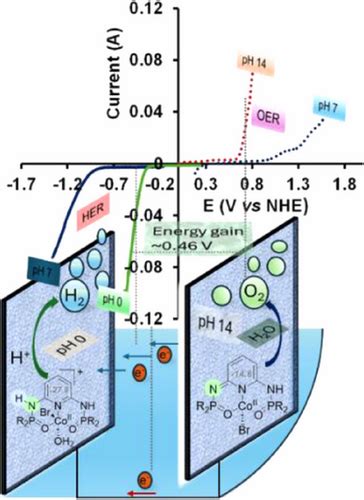 A Dual‐function Catalyst For Efficient Electrocatalytic Water Splitting