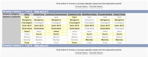 Flow Screen Component Dependent Picklists With Recordtype And