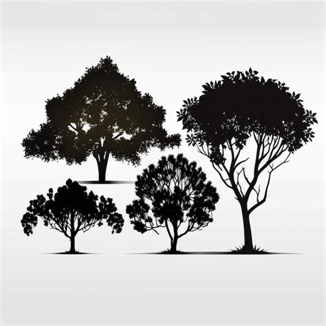 63 000 Tree Silhoutte Pictures