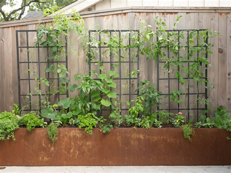 Explore 20 Cucumber Trellis Ideas For A Bountiful Harvest