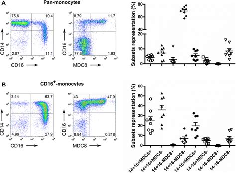 Phenotypic Characterization Of Isolated Monocyte Populations