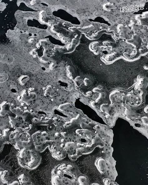 자연이 그린 겨울 수묵화 내일로여행