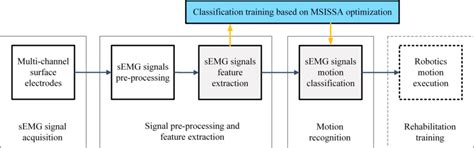 Semg Based Upper Limb Motion Recognition Download Scientific Diagram