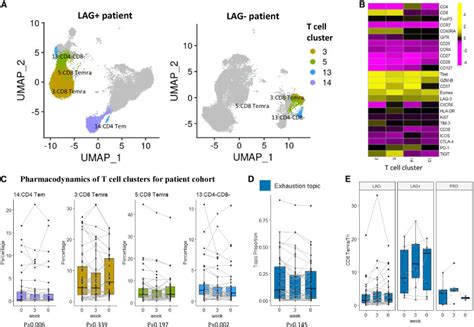 A Topic Modeling Approach Reveals The Dynamic T Cell Composition Of Peripheral Blood During