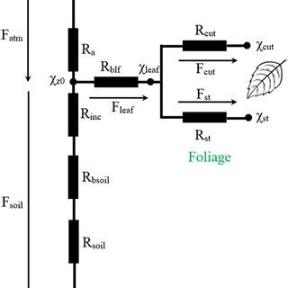 Temporal Variation Of Modeled Leaf Boundary Layer Conductance 1 Rblf Download Scientific