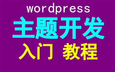 Wordpress主题开发教程哔哩哔哩bilibili