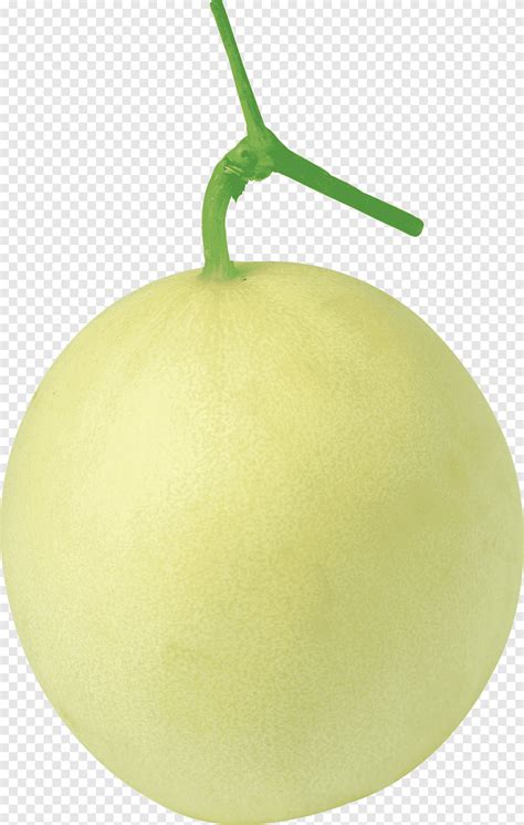 البطيخ عسل النحل الغذاء البطيخ أبيض طعام Png