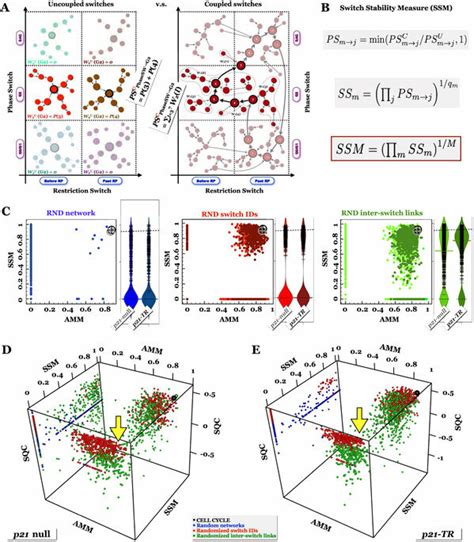 Together The Three Dynamical Modularity Measures Distinguish Modular Download Scientific