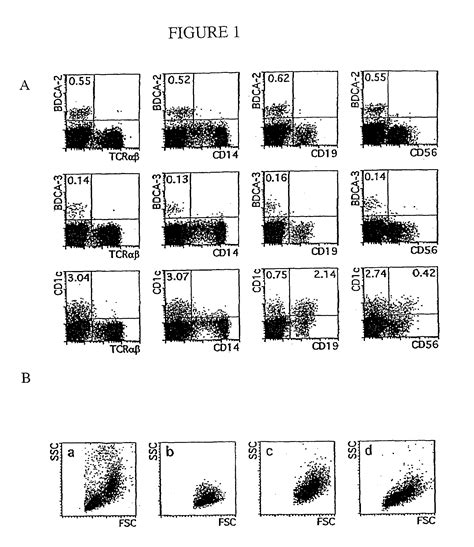 Antigen Binding Fragments Specific For Dendritic Cells Compositions