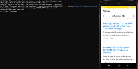 walkthrough of the insecureshop android vulnerable application
