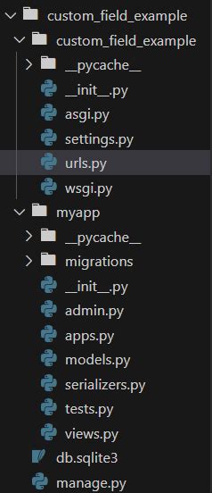 How To Add A Custom Field In Modelserializer In Django Geeksforgeeks