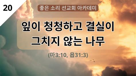 좋은 나무는 아름다운 열매를 좋은소리 아카데미