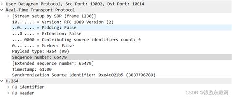 sip协议之rtp负载类型（payload type rtp payload type csdn博客