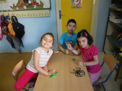 Proyecto Los Insectos En Infantil 4 Años Caracteristicas De Los