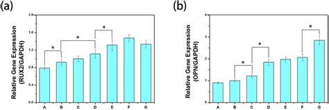 quantitative real time pcr analysis of osteogenesis related gene