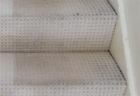 Carpet Dry Cleaning Eco Carpet Cleaning Gold Coast
