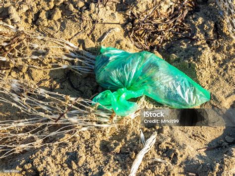 해변에 던져진 개 배설물이있는 비닐 봉지 환경 오염 쓰레기 봉투가 모래에 남았습니다 해변에 플라스틱 파편 플라스틱 잔류 물 조각 0명에 대한 스톡 사진 및 기타 이미지