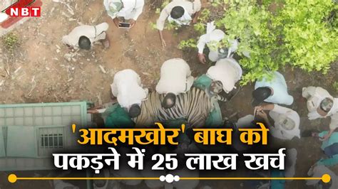 Mp News 140 लोग लाखों का खर्चा और 10 दिन का ऑपरेशन इंसान को मारने
