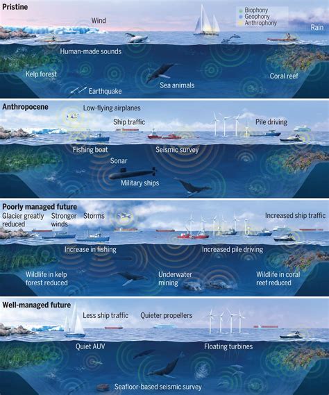 Ocean Noise Drowning Out Marine Life International Marine Mammal Project